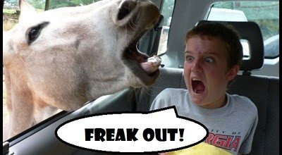 Freak Out - EVIL ENGLISH