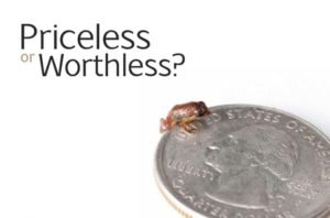 Priceless vs Worthless - EVIL ENGLISH